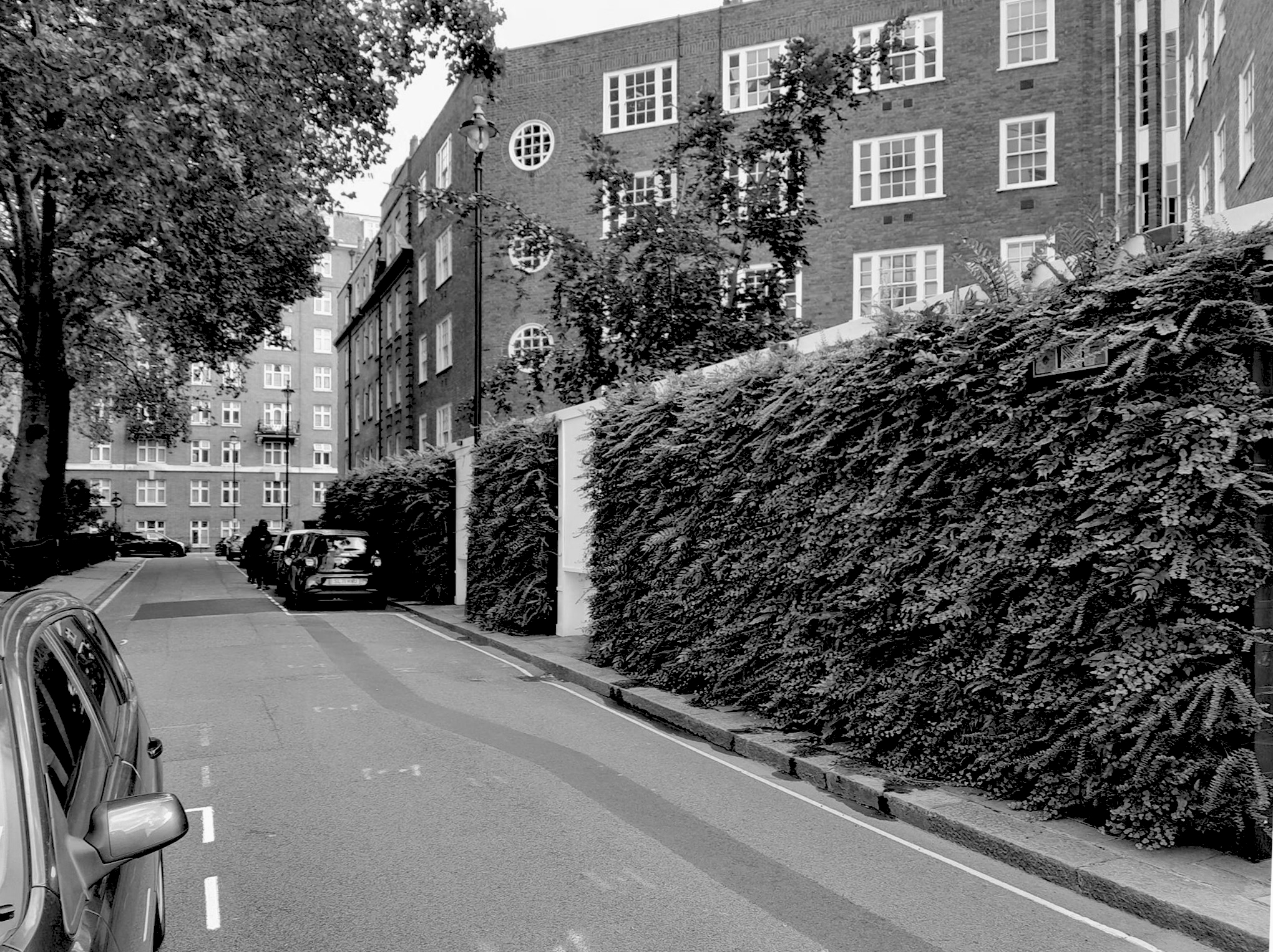 Biotecture Living Hoarding Fronts Up Belgravia Development - Property ...